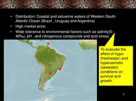 Ppt Salinity Effects On Osmoregulation And Growth Of The Euryhaline Flounder Paralichthys