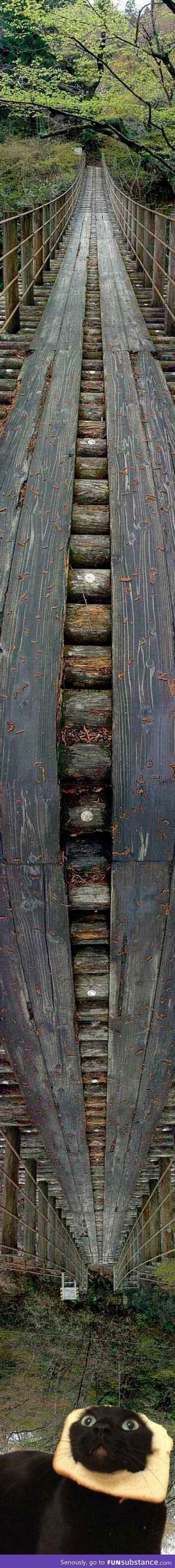 Scroll Then Roll Funsubstance