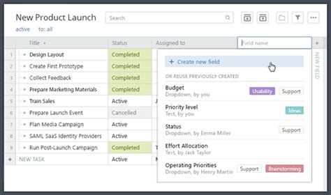 Personalize Wrike With New Custom Fields