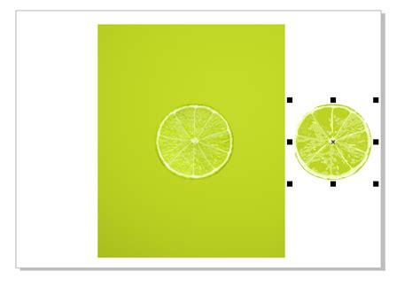 Coreldraw位图转为矢量图用的方法是什么 Cdr如何导出矢量图 Coreldraw中文网站