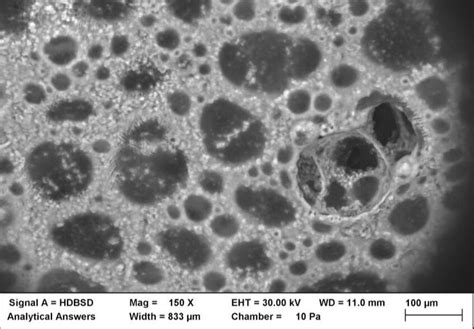 Analytical Answers Variable Pressure Scanning Electron Microscopy