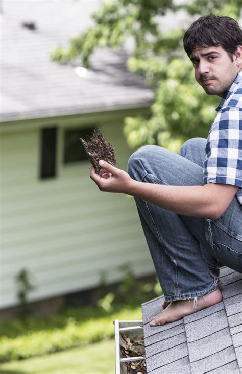 Reduce Your Gutter Maintenance