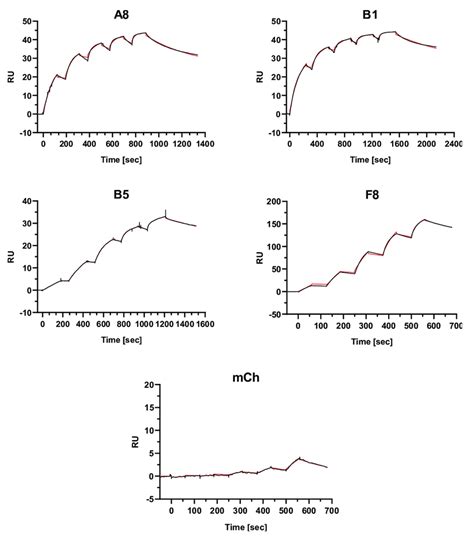 Affinity Determination Of Sdab To Recombinant Protein Via Surface