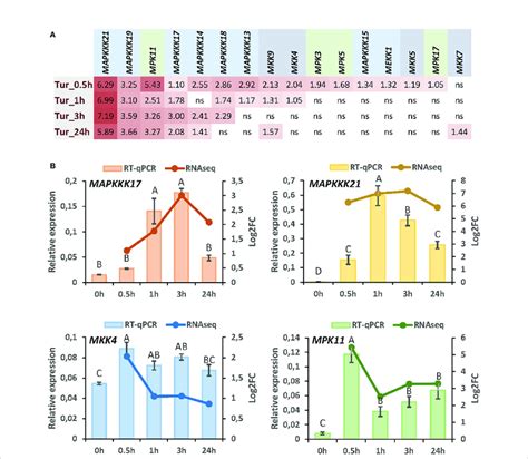 Expression Of Map Kinases In Response To T Urticae Infestation A