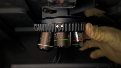 Fluorescence Observation And Foreign Materials Measurement Using Raman