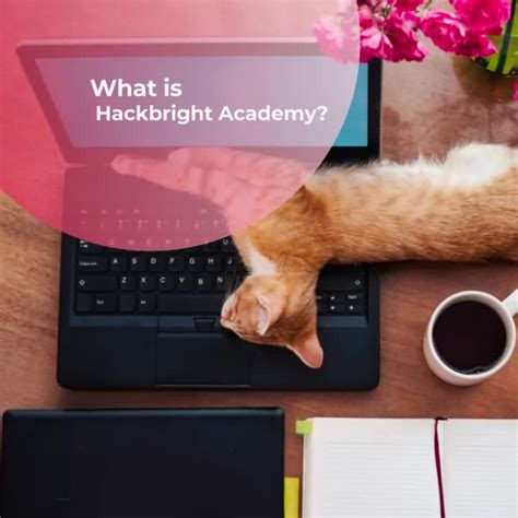 Hackbright Academy On Linkedin Softwareengineering