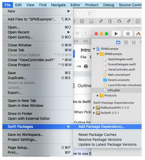 how to use apple s swift package manager punch through