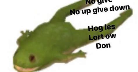 A Rogue Telvanni Wizard Turned Me Into A Scrib Send Help Imgur