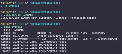 Ls Ignores Secured Filesdirectories · Issue 3157 · Nushellnushell