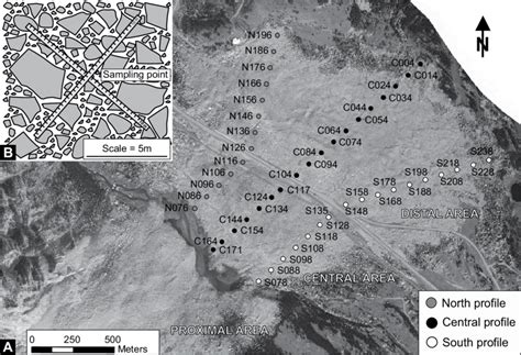 A Sampling Profiles With 48 Measuring Stations B Illustration Of