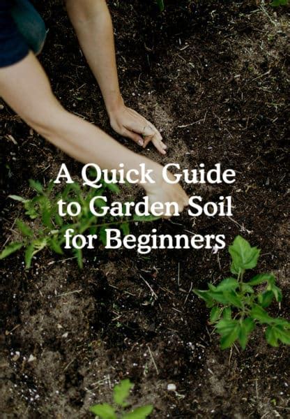 A Quick Guide To Soil For Your Garden Fresh Exchange