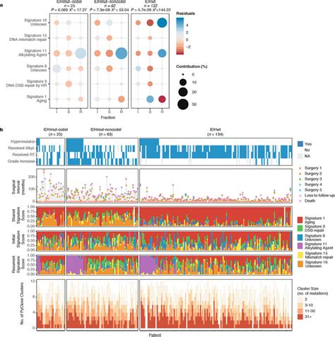 Mutational Signatures By Fraction And Subtype A Correlation Plot