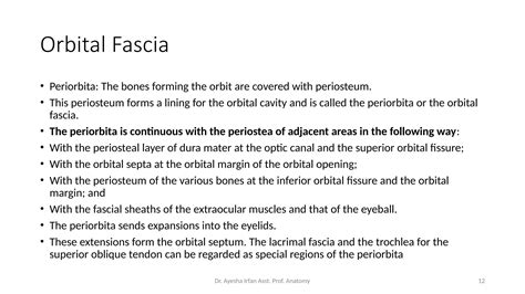 Gross Anatomy Of Orbit And Eyeby Dr Ayesha Irfan Mbbs Fcpsanatomy