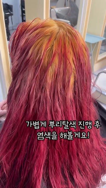 ️붙임머리에 뿌리탈색and레드염색을 해볼꺼에요 ️ 홍대 미용실 붙임머리 탈색 염색 염색맛집 레드염색 체리레드 긴머리 염색 Youtube