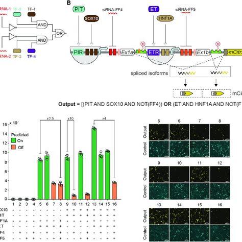 Disjunctive Normalform Dnf Like And Or Not Logic Computation In