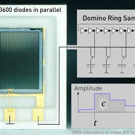 The Electric Flow Chart Of Readout Electronics In Fact Incoming Download Scientific Diagram