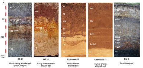 Examples Of Investigated Alluvial Soils Download Scientific Diagram