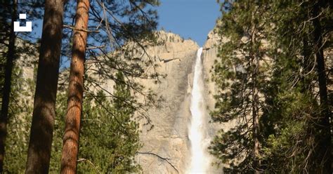 낮의 폭포와 나무 사진 Unsplash의 무료 숲 이미지