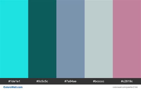 Infographic Colors Palette Hex Colors 1de1e1 0c5c5c 7a94ae Bccccc C2819c Brand
