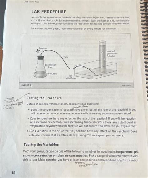Solved I Have To Do A Lab Report With This Experiment I Chegg