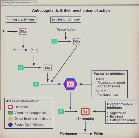 Pin By Andres Sanchez On Anticoagulant Therapy Pharmacology