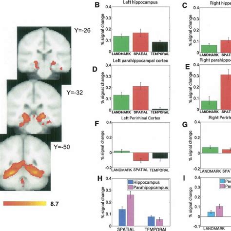 Activations In The Hippocampus And Parahippocampal Cortex During Download Scientific Diagram