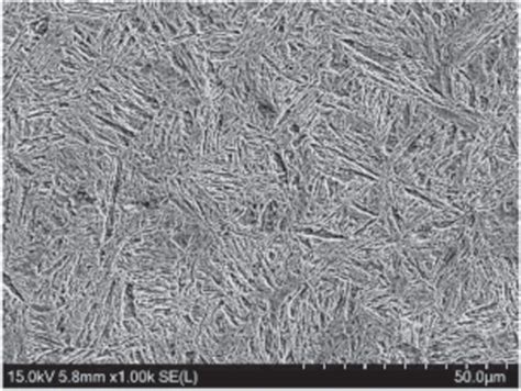 Sem Observation Of The Microstructure Of The Sample Compressed To A Download Scientific Diagram