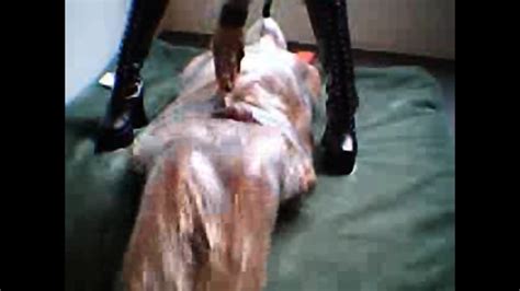 2006 May First Wrap And Kick Vid Eporner