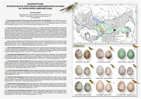 Приоритетные экологические популяции обыкновенной кукушки в Северной Азии