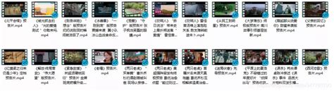 Python爬取网站视频保存到本地python 读取文件中的 Url 和 标题根据url下载视频到本地以标题作为文件名 Csdn博客