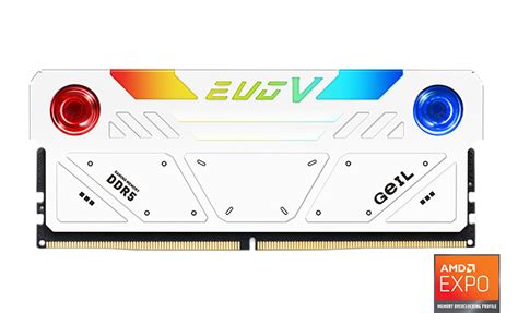 Geil Ready With Evo V And Polaris Amd Expo Edition Ddr5 Memory Kits Up