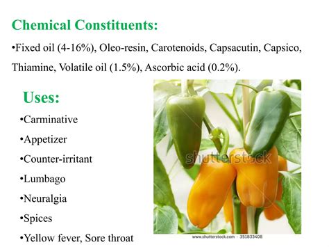 Resins PPTX Gardening Home Garden