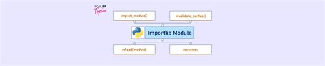 Python Importlib Module Scaler Topics