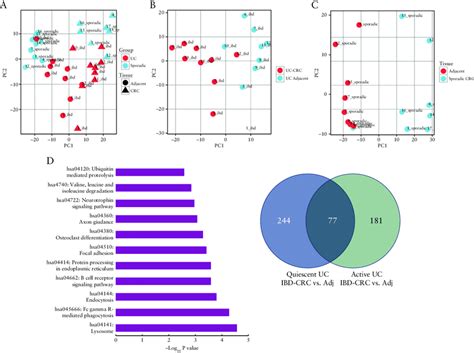 Genome Wide Transcriptomic Analysis Distinguishes Uc From Sporadic Download Scientific Diagram