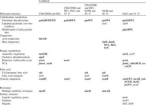 summary of overlapping molecular functions between selected conditions