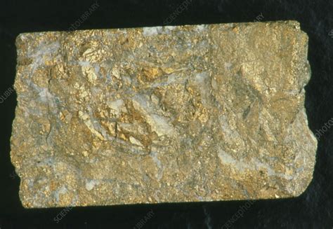 Mining Drill Core Sample With Gold Content Stock Image A Science Photo Library