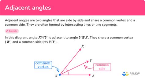 Adjacent Angles Definition Examples Practice Questions