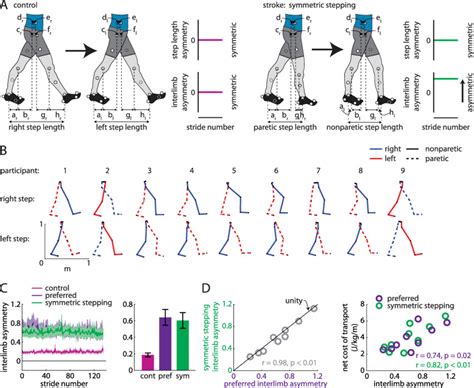 Persons Post Stroke Improve Step Length Symmetry By Walking