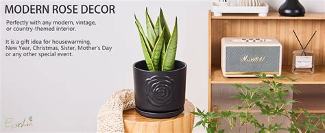 Ekirlin 7 Inch Plant Potsceramic Rose Flower Planters