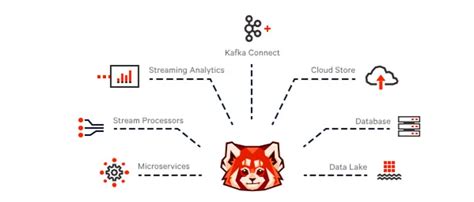 how redpanda is taking data streaming mainstream lightspeed venture