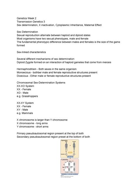 Transmission Genetics General Lecture Notes Genetics Week Transmission Genetics Sex