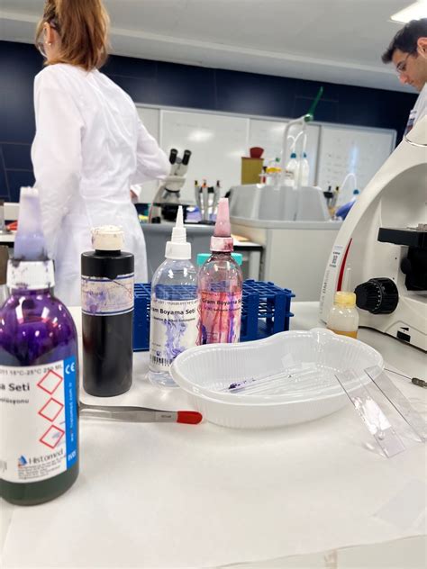 Gram Staining Experiment We Failed To Reach The Correct Conclusion😓