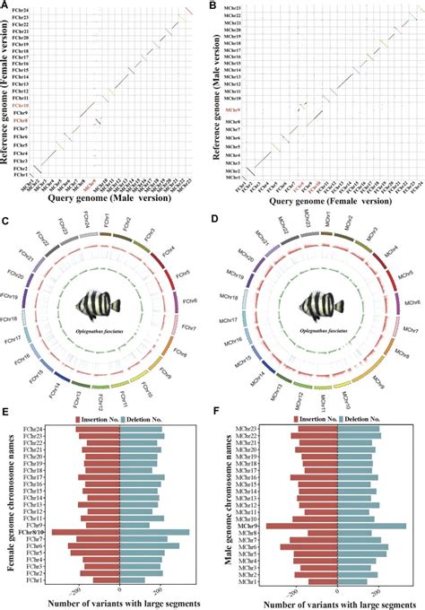 Innovative Approach For High Throughput Exploiting Sex Specific Markers