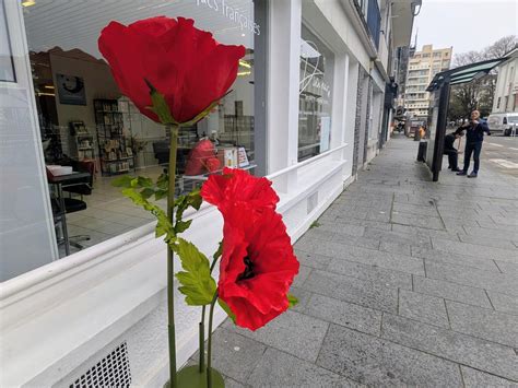 Clin Dœil à Pau Une Fleur Géante Sinvite Rue Mathieu Lalanne La