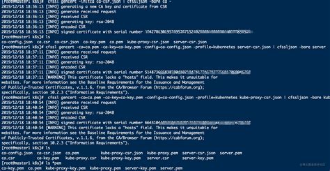 Build A Complete Kubernetes Cluster Self Signed APIServer SSL Certificate Master