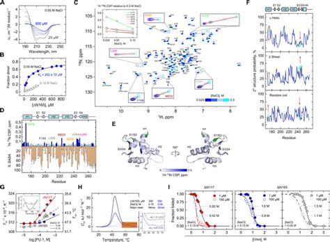 Dimerization Of The Dbd Of Pu1 Is Electrostatically Mediated And