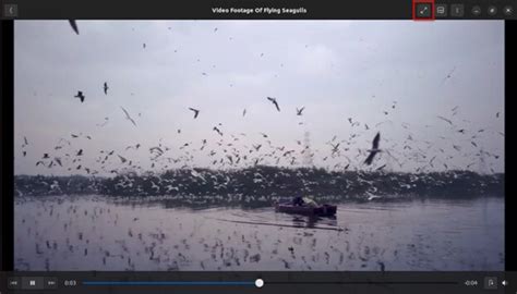 Ubuntu Video Player Playback Controls Open Source