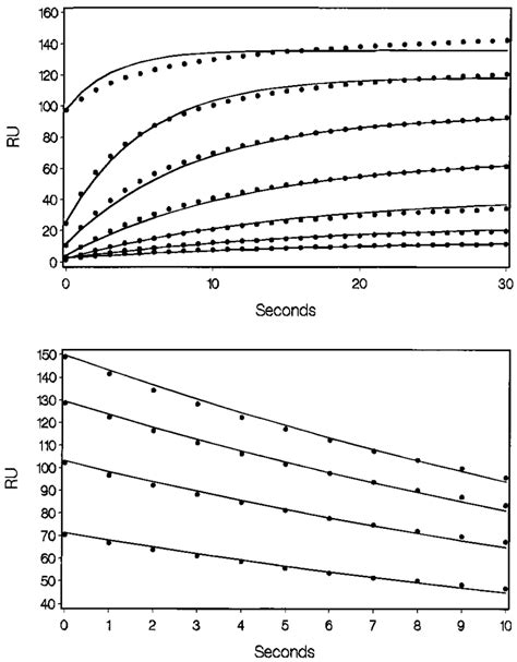 Determination Of Kinetic Rate Constants For The Interaction Between Download Scientific Diagram