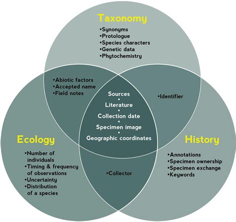A Summary Of The Data Elements Mentioned By The Different Researcher Download Scientific