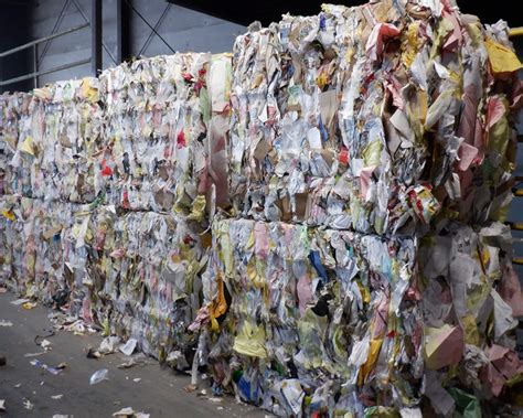 Hammerclassificationv3 Classification Dataset By Snm